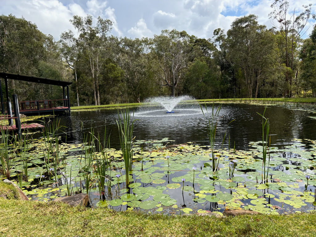 REEFE RFA240 1HP Pond & Dam Aerator 60,000L/h - Improve Water Quality ...